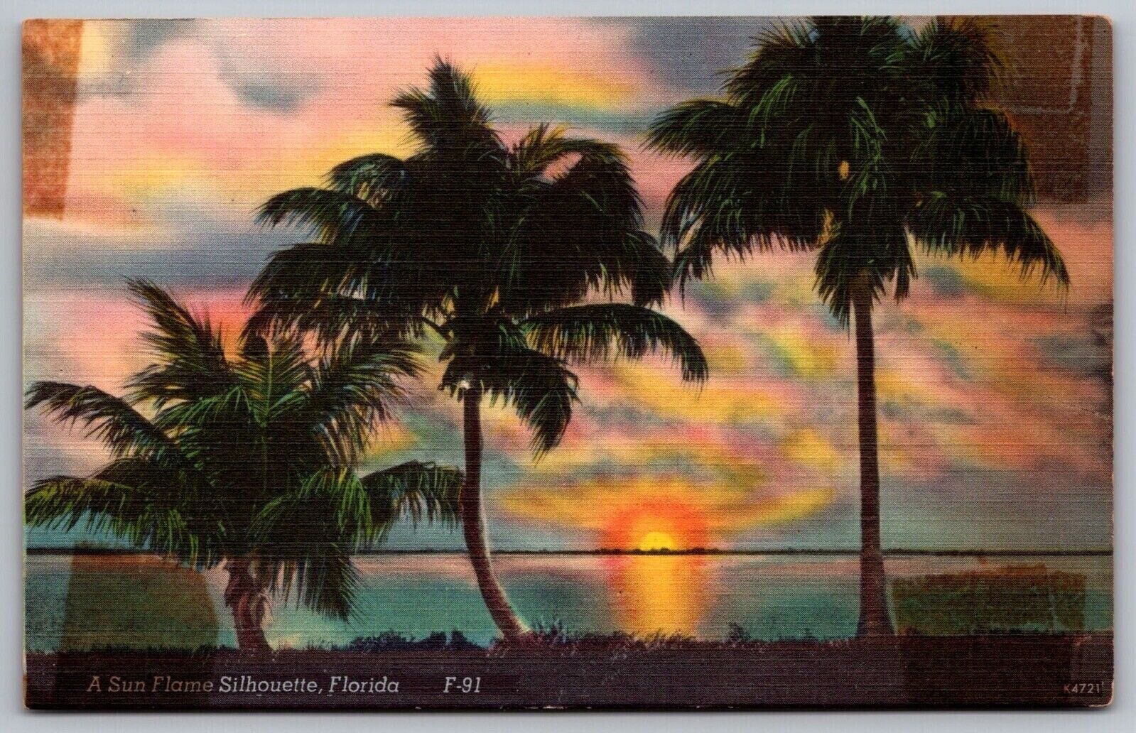 Florida Scenic Tropical Sunset Beachfront Palm Trees Linen UNP Postcard ...