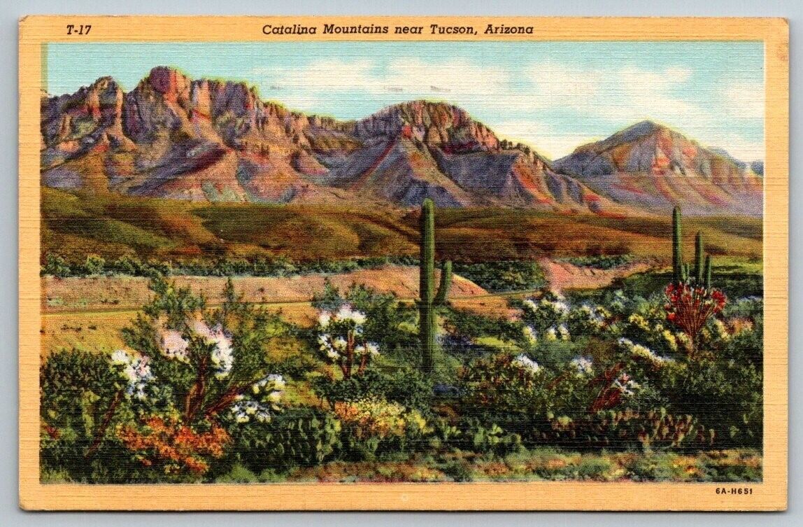Vintage Arizona Postcard - Catalina Mountains Tucson 1944 USO WW2 ...