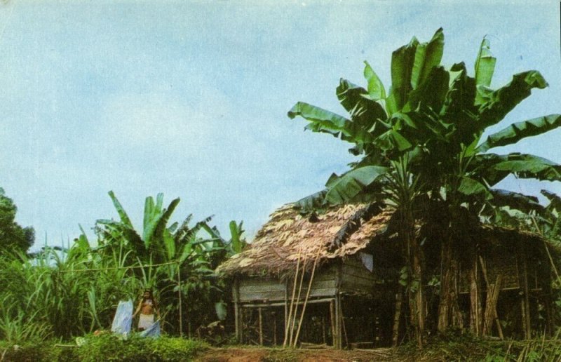 colombia, CHOCO, Indios Cholos Vivienda, Indian House (1970s) Postcard ...