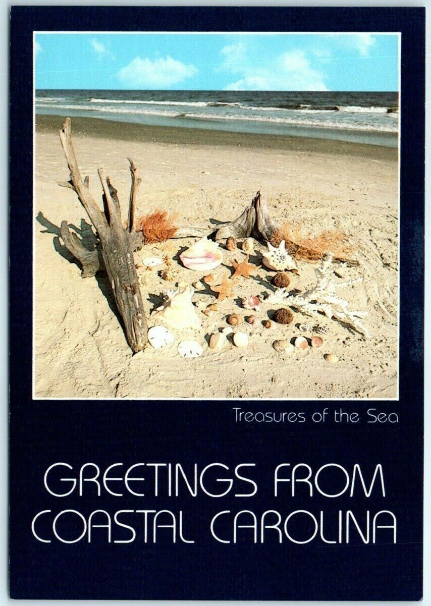Postcard - Treasure of the Sea - Greetings From Coastal Carolina ...