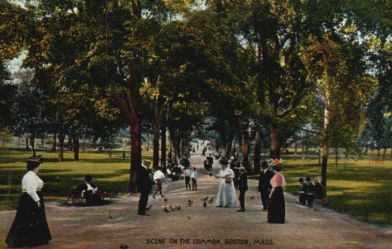Vintage Postcard Scene on the Common Park Walkway Boston Massachusetts ...