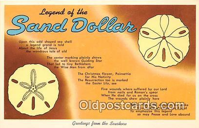 Legend of the Sand Dollar Mellita Testudinata, Holy Goast Shell ...