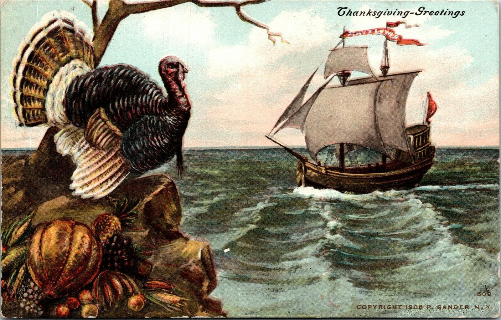 Vtg Turkey On Rocks Sea Shore Ship Mayflower Thanksgiving 1909 P Sander ...