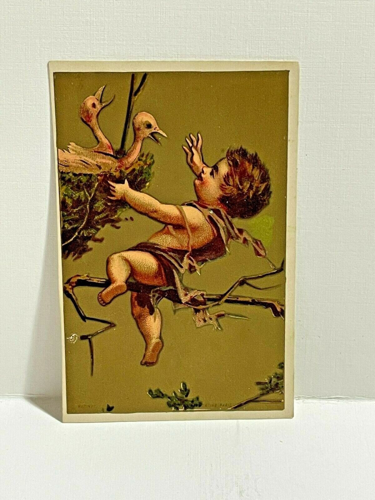 1880s Paris Victorian Trade Card Birds Pecking Boy Falling from Tree ...