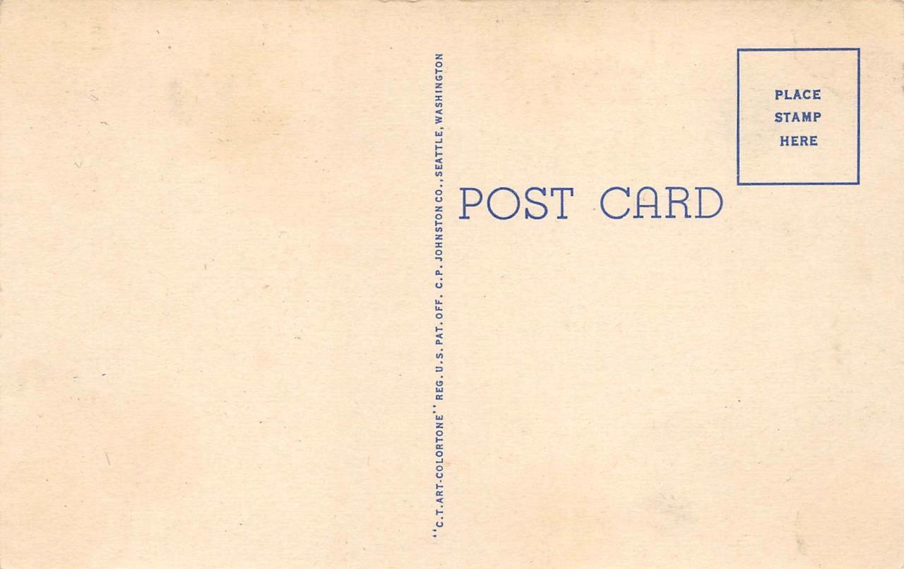 OLYMPIC PENINSULA Washington MAP Quinault Copalis Moclips 1940s Vintage ...