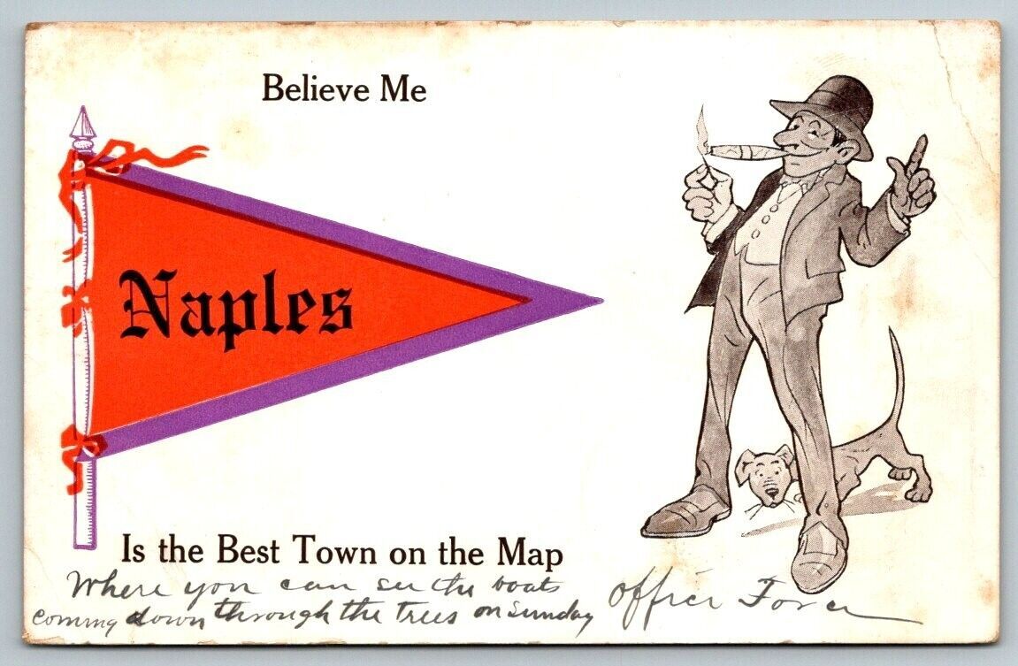 1913 Naples Maine Is the Best Town on the Map Postcard | United States ...