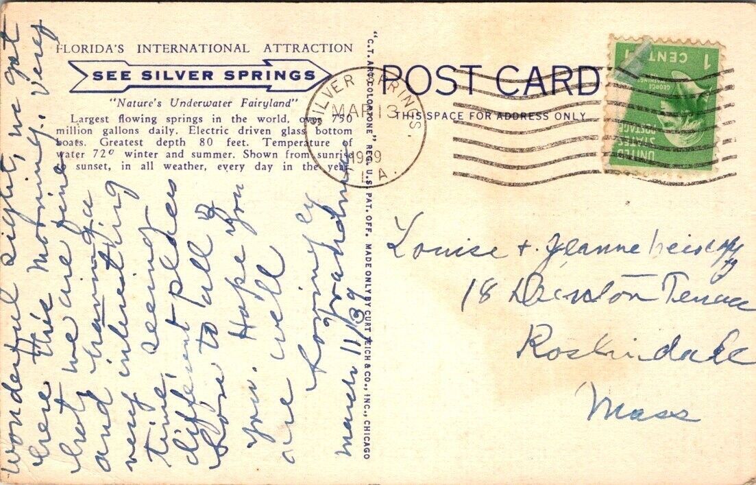 Vintage Florida Postcard - Silver Springs - Feeding fish from Glass ...