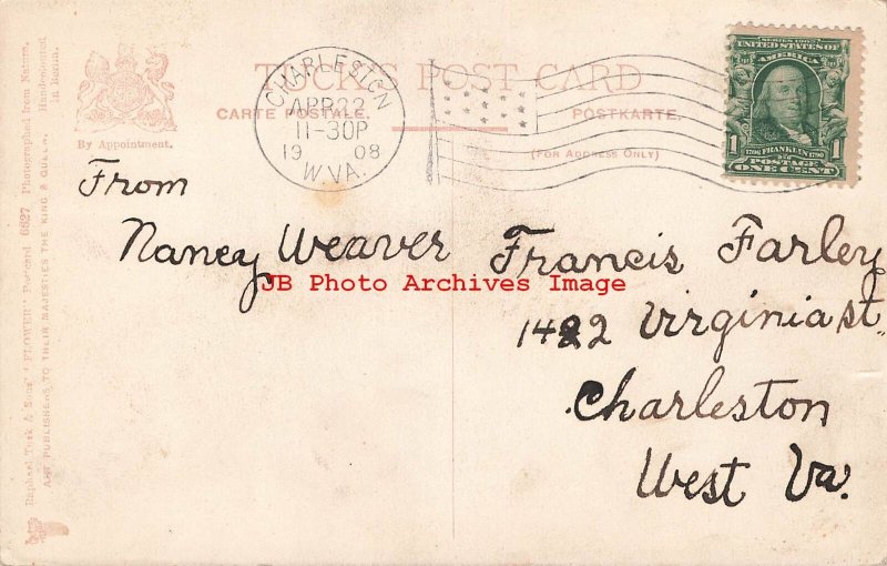 Tuck Flower No 6627, Saint Bernard Dog Puppy Sits on Wall above Daisies ...