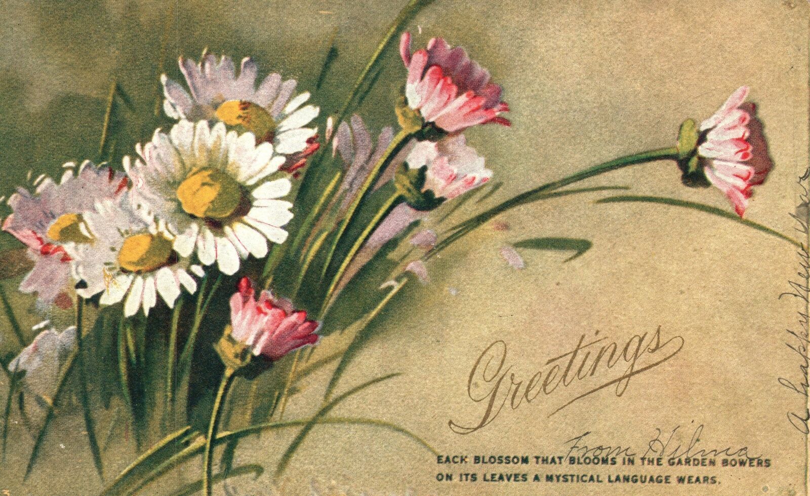 Vintage Postcard Greetings Flower Blossoms In The Garden Bowers On Its ...