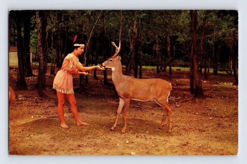 Postcard Native American Deer Wisconsin Dells Wildlife 1960s Unposted ...
