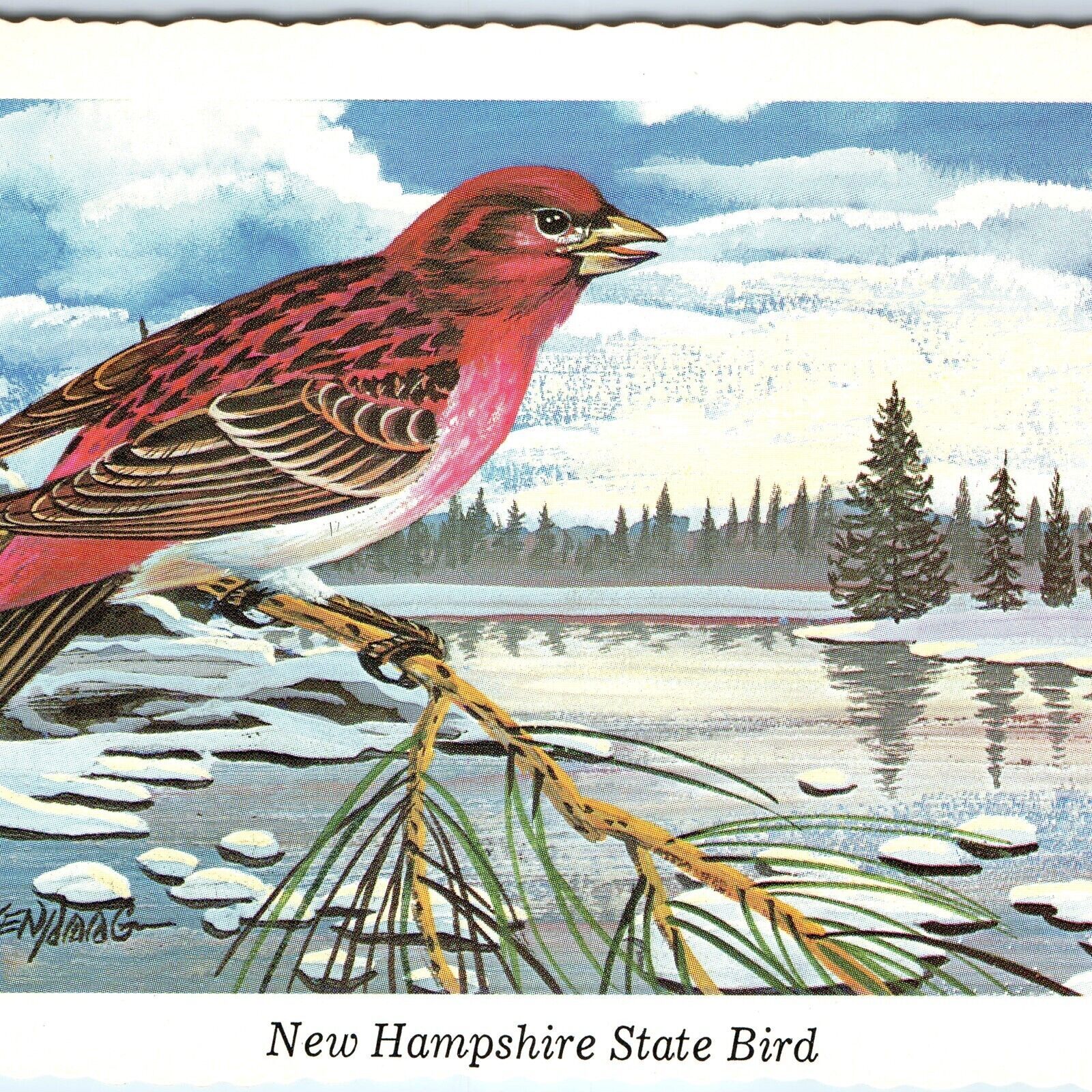 1968 NH New Hampshire State Bird Purple Finch Winter Ken Haag Painting ...