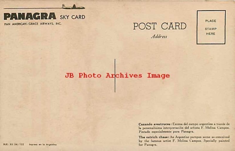 Pan-American-Grace Airways, Panagra Sky Card, F Molina Campos, The ...
