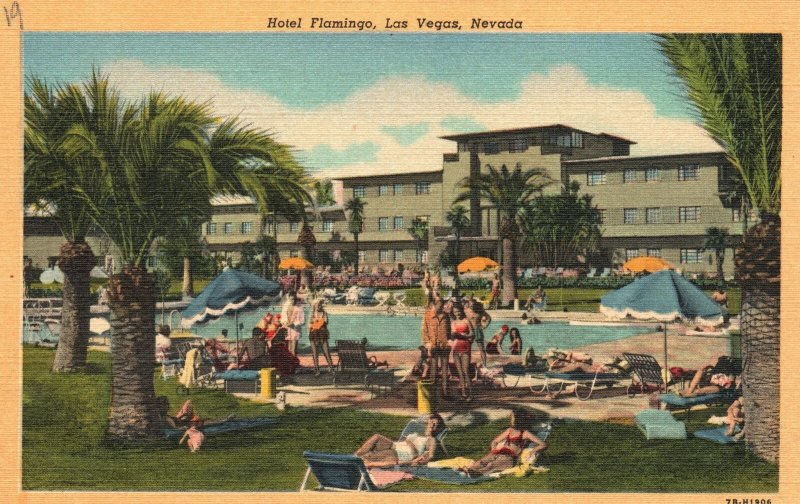 Vintage Postcard Hotel Flamingo Showing Olympic Swimming Pool Las Vegas ...