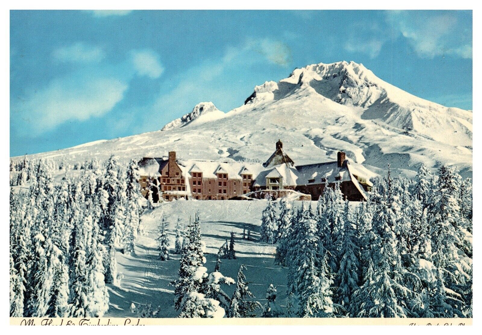 Mount Hood Timberline Lodge Oredon Sentinel Peak Chrome Postcard UNP ...