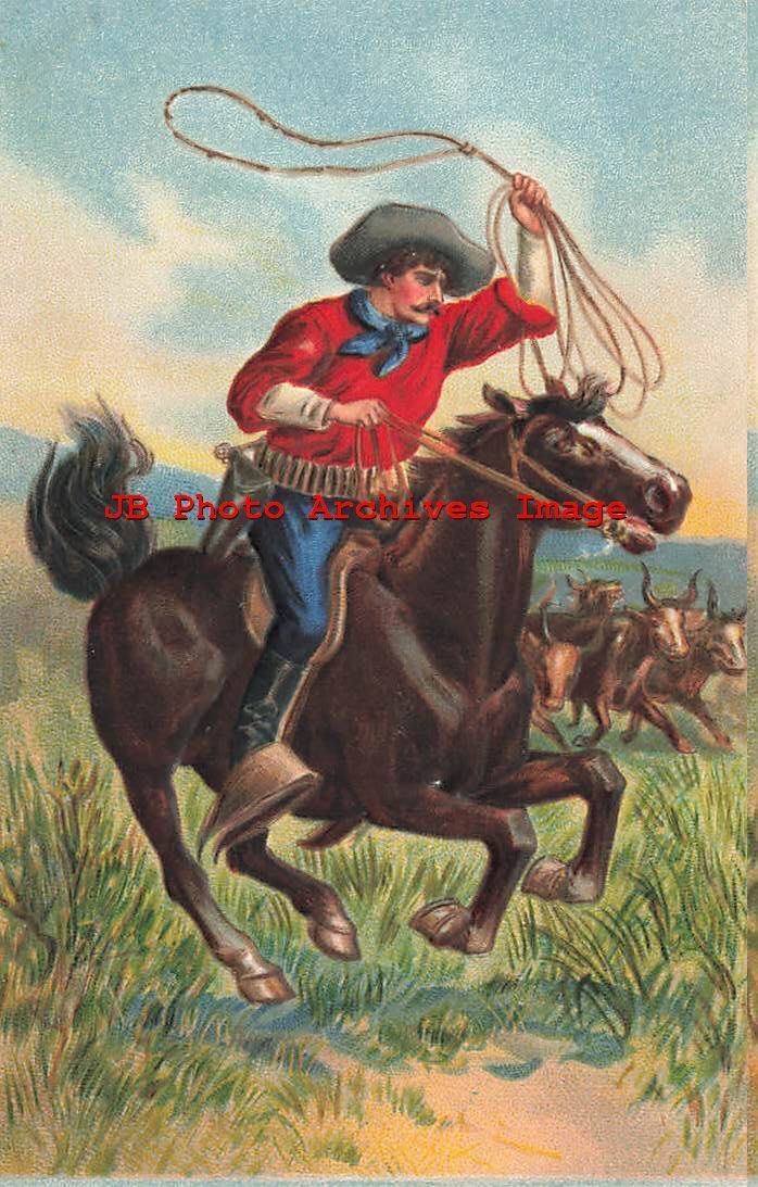 Cowboy on a Horse Slinging His Lasso | Other / Unsorted, Postcard ...