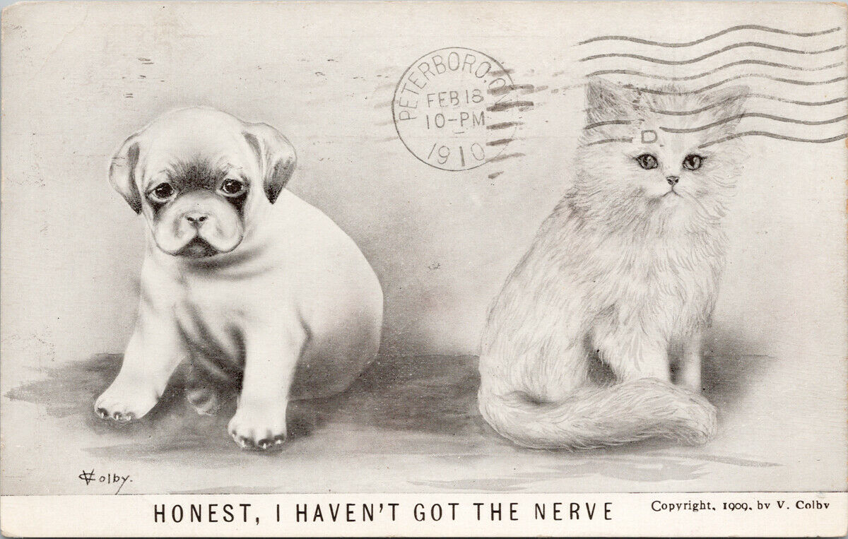 Cat Dog Puppy Kitten 'Honest I Haven't Got The Nerve' Colby Postcard ...