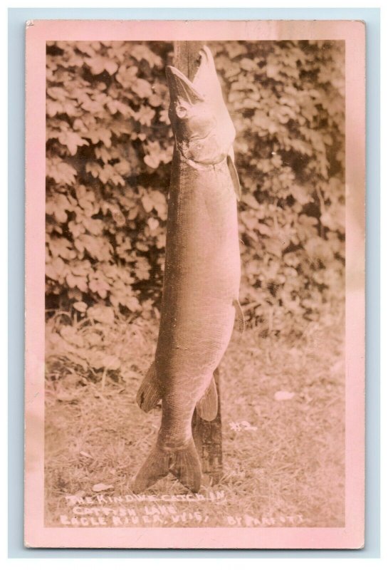 RPPC Big Fish Caught Catfish Lake Eagle River Wisconsin Real Photo ...