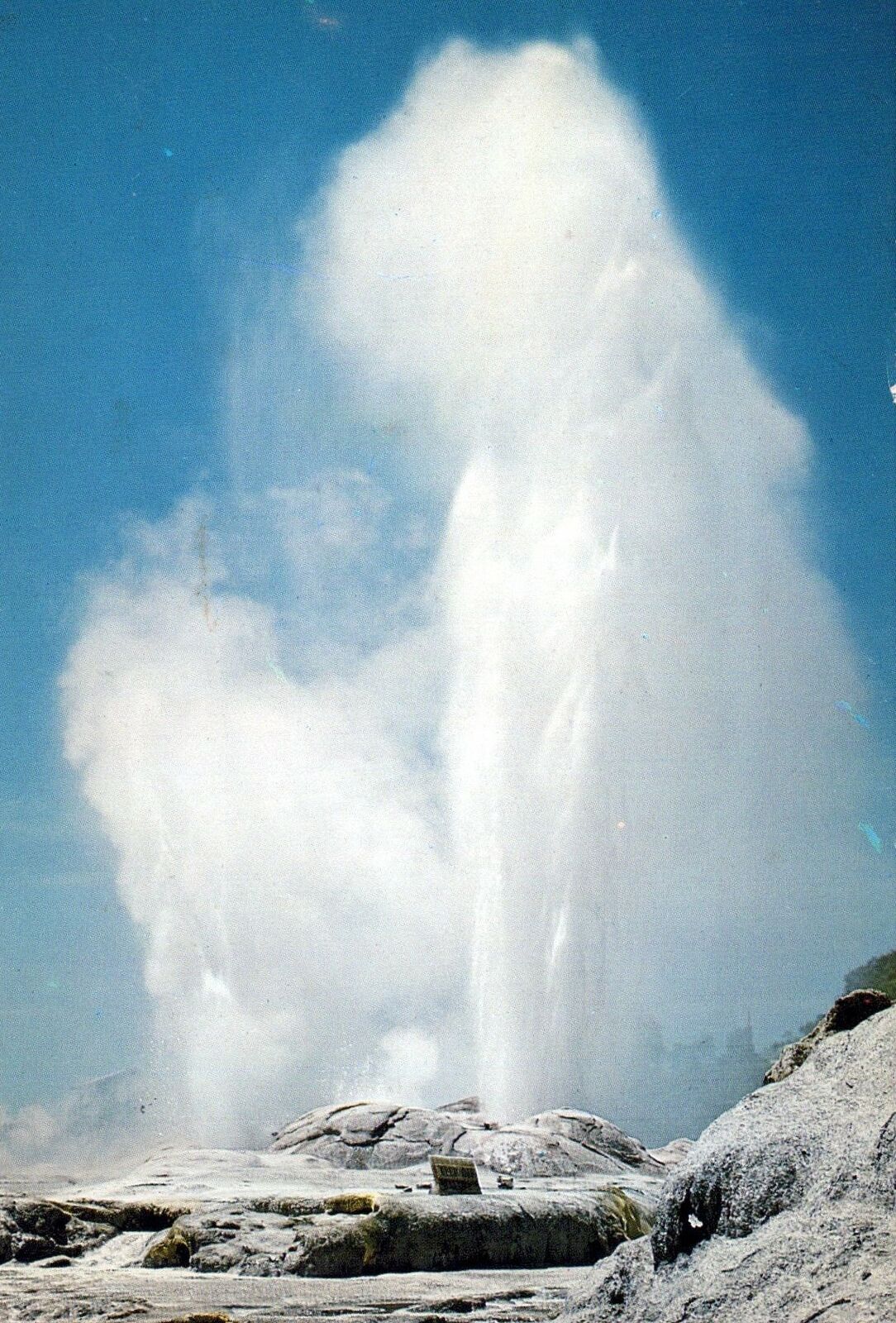 Vintage Continental Size Postcard Pohutu Geyser 90 Feet Rotorua New ...