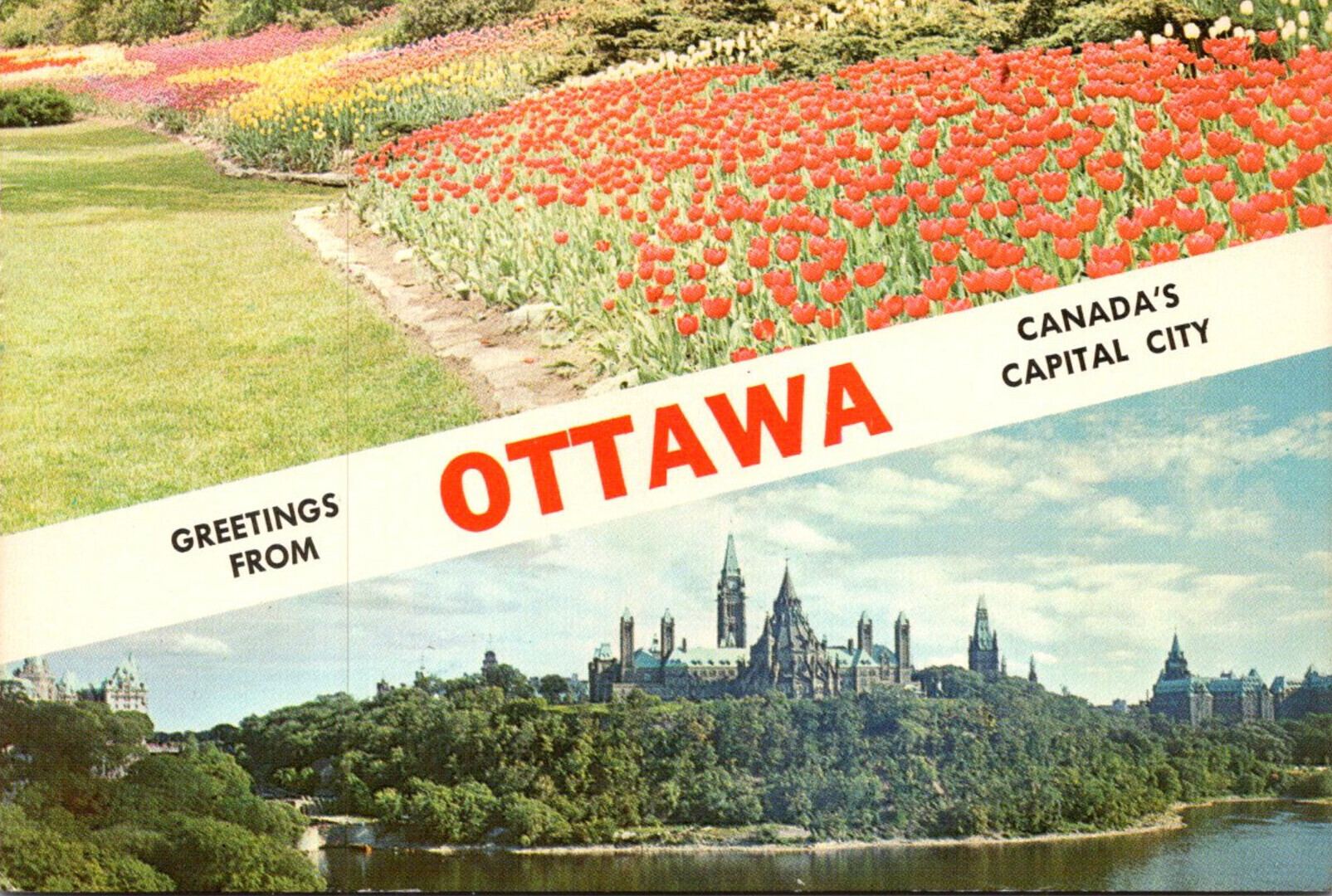 Canada Ottawa Greetings With Split View Showing Tulip Gardens and ...