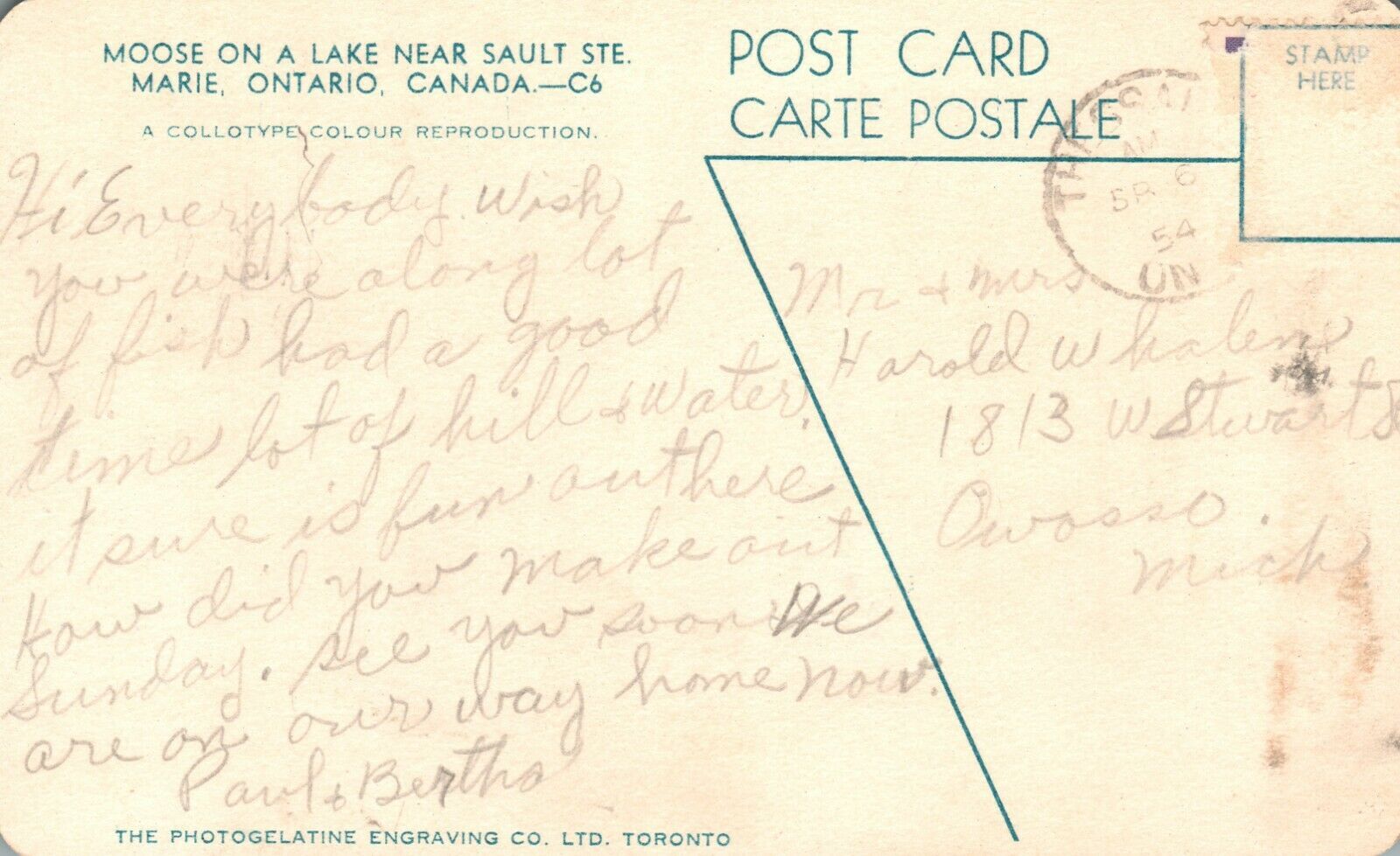 Vintage Postcard 1954 Moose on a Lake Near Salt Ste. Marie Ontario ...