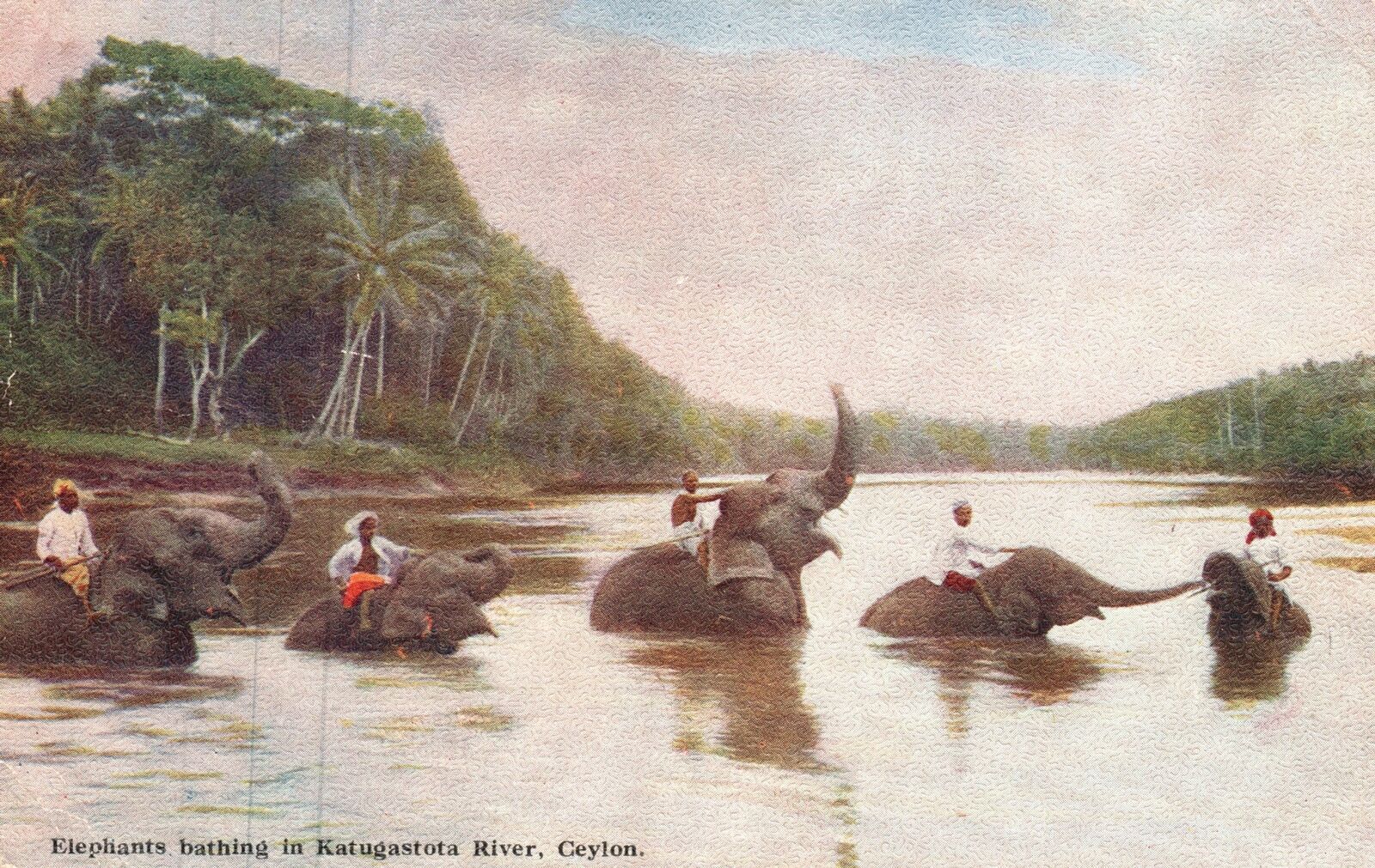 Vintage Postcard Elephants Bathing At Katugastota River Ceylon Sri ...