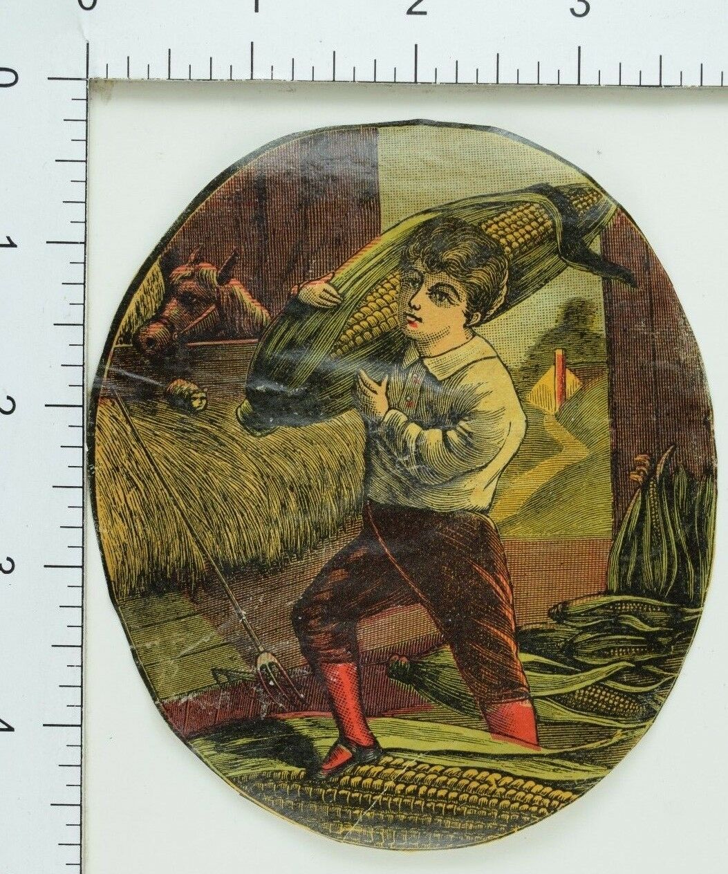 1870's-80's Corn Victorian Tin Can Label Scrap, Boy With Giant Ears of ...
