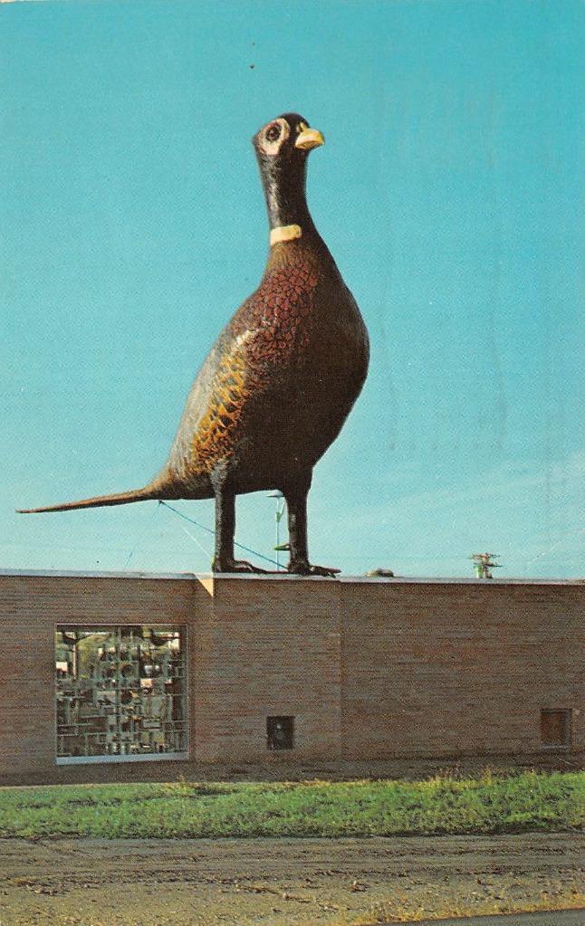 Huron, SD South Dakota WORLD'S LARGEST PHEASANT~Bird Statue 1962 ...