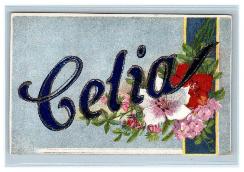 "CELIA" ~ c1910s LARGE LETTER Name Postcard w/Glitter | Topics ...