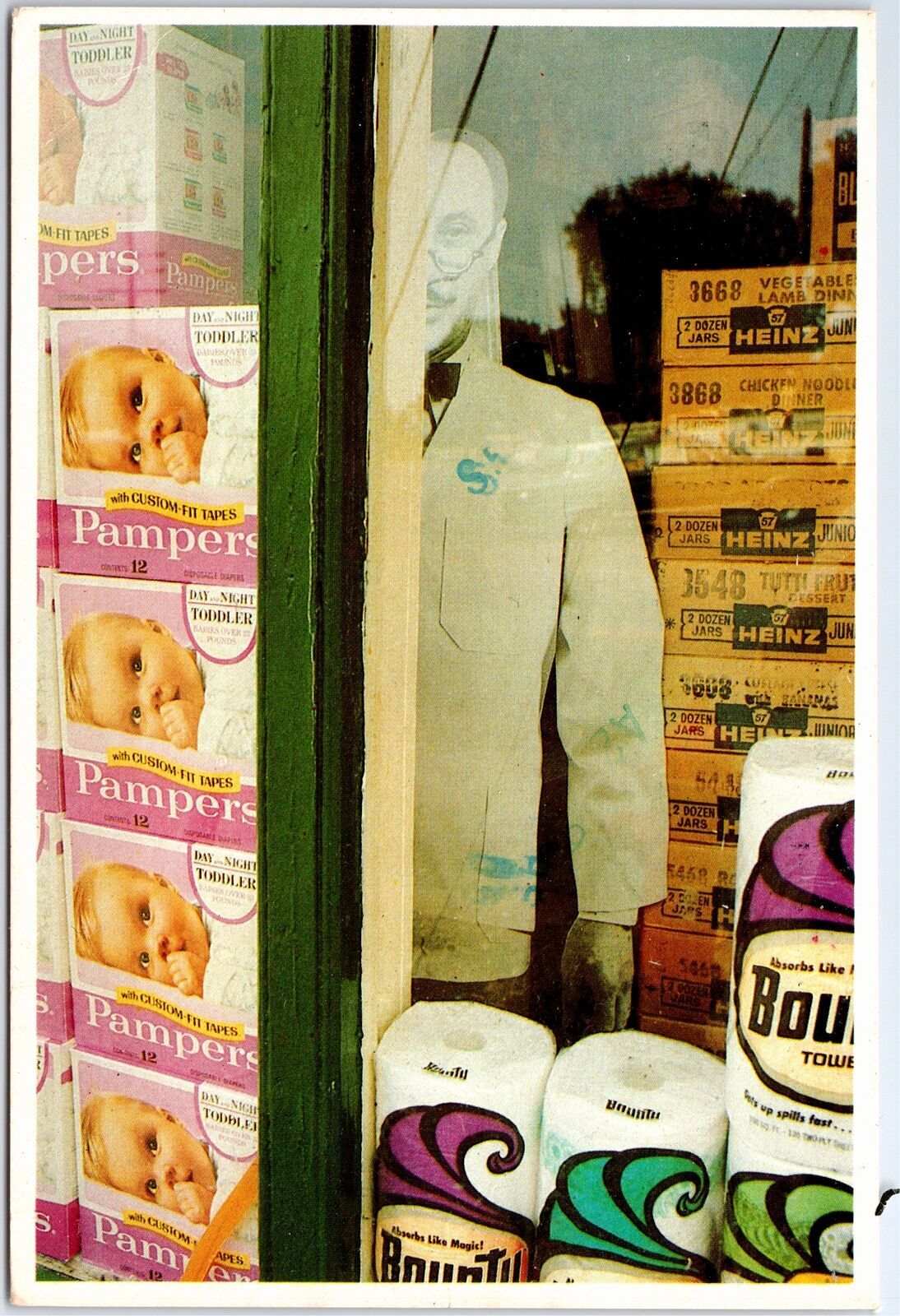 Vintage Continental Sized Postcard MR. Whipple IS Watching the Front ...