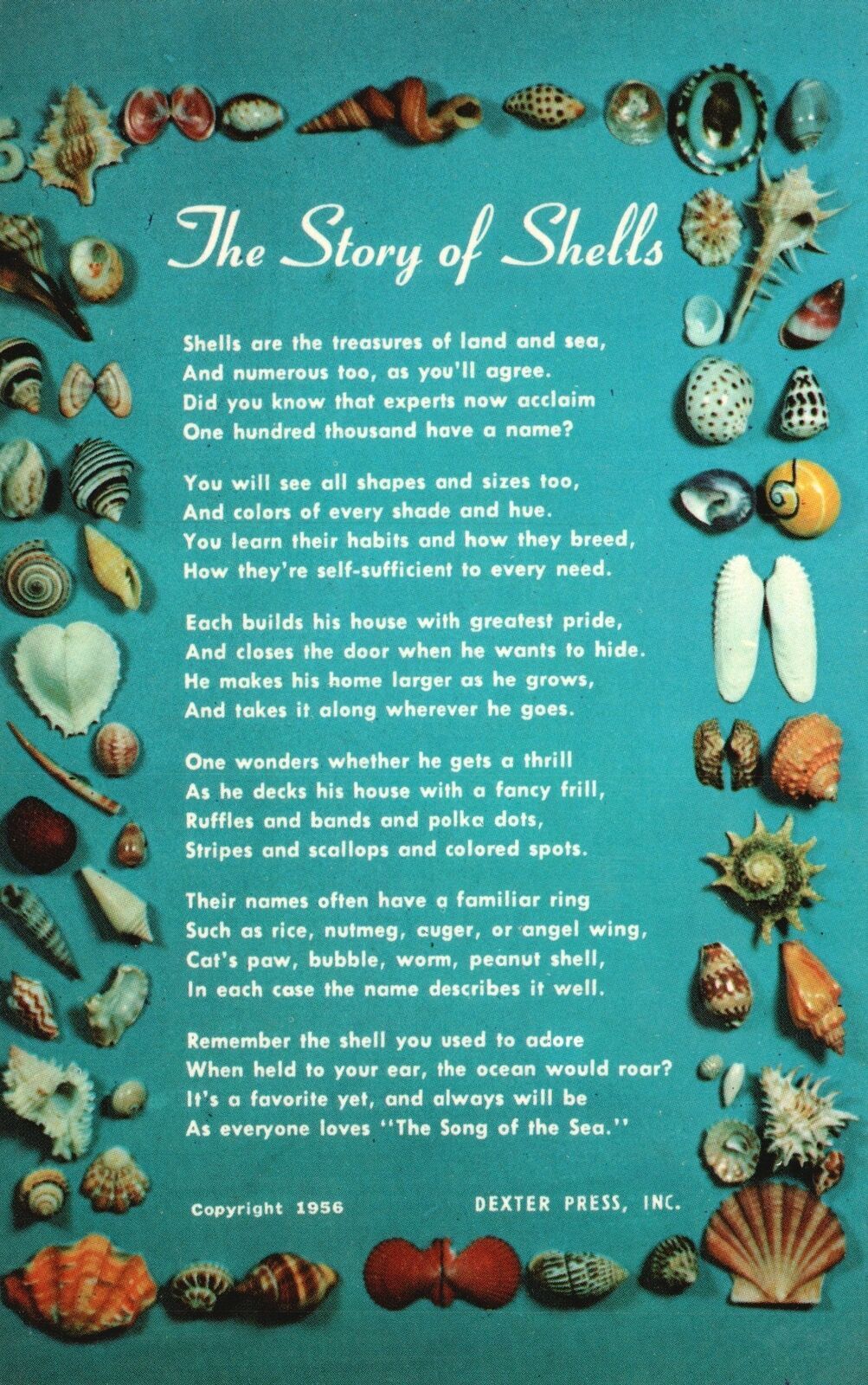 Vintage Postcard The Story Of Shells Pub By Dexter Press Inc. | Other ...