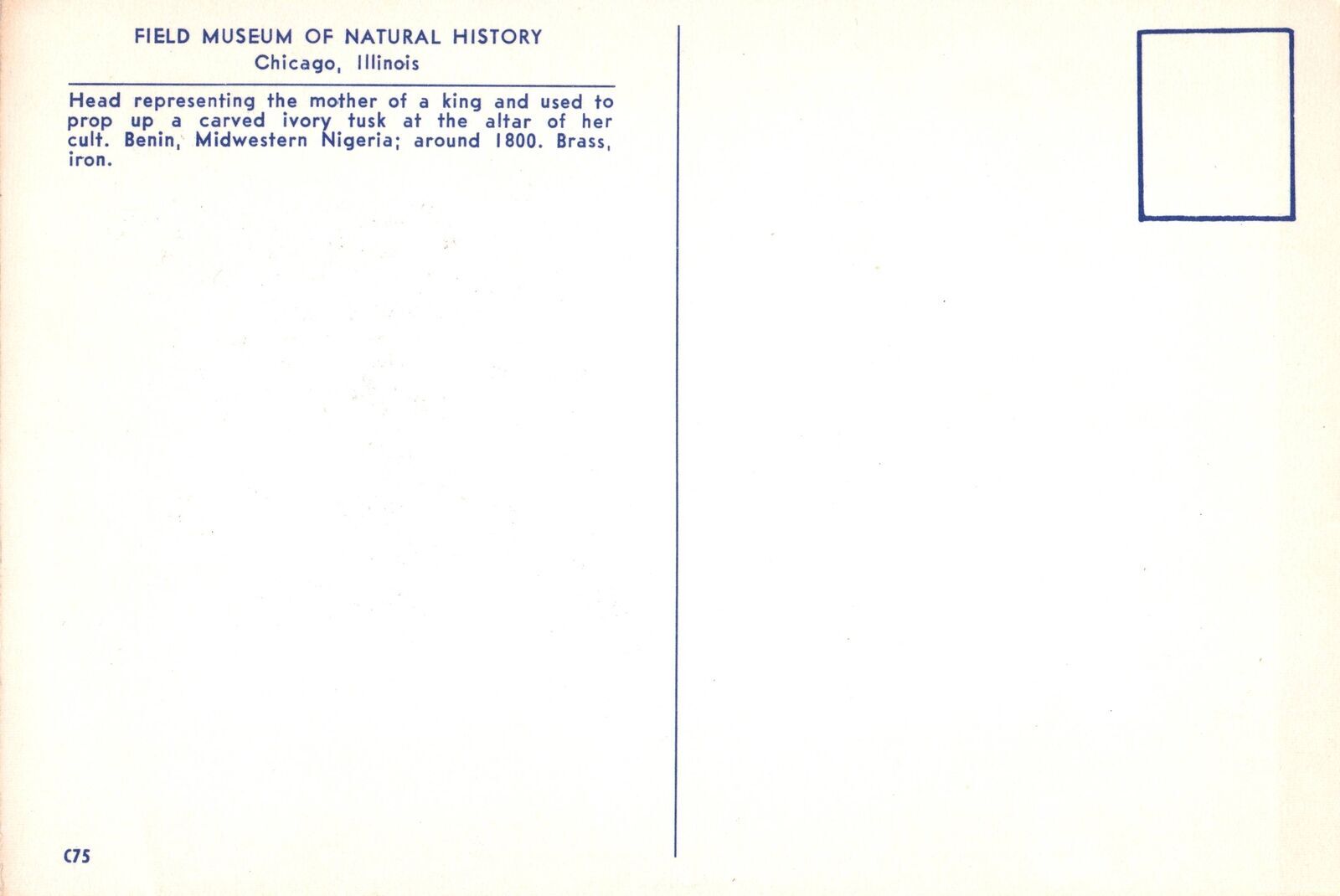 Vintage Continental Size Postcard the Field Museum of Natural History ...