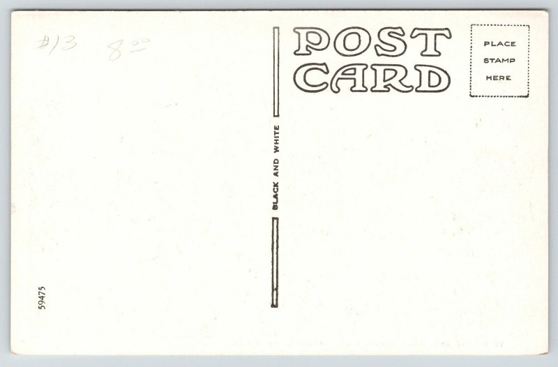 Gills Landing Wisconsin~Wolf River~Ye Island Inn Hotel~Tree Down~Docks ...