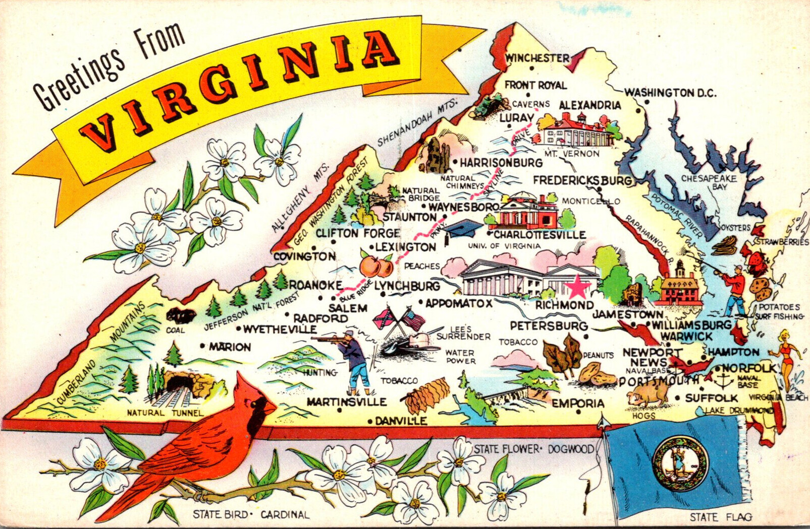 Virginia Greetings With Map State Flag and State Bird | United States ...