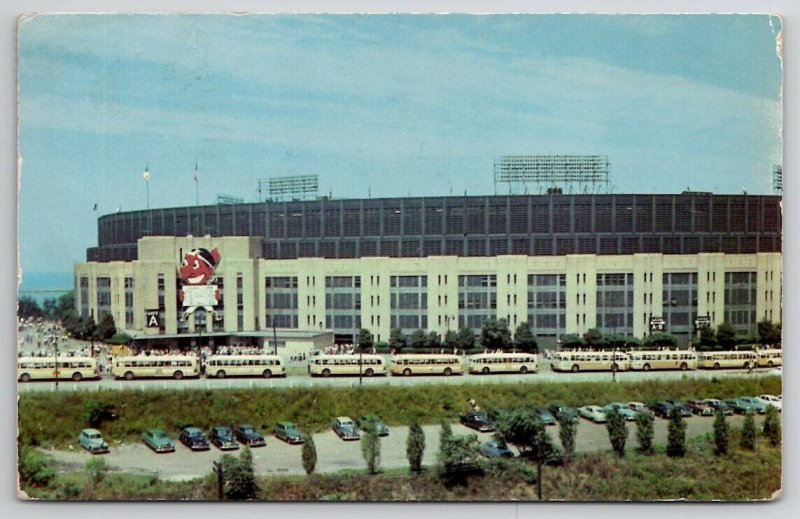 Municipal Stadium Cleveland Indians Ohio Old Buses Cars 1954 Postcard ...
