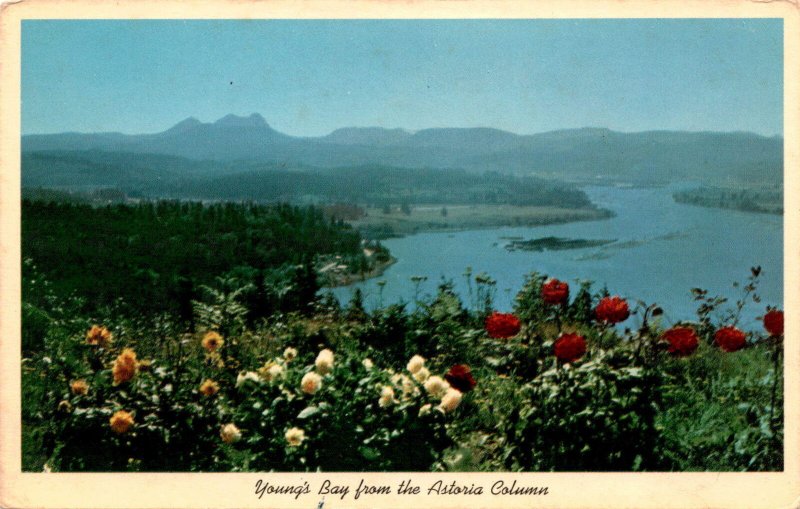 Astoria Column Photo: Young's Bay & Saddle Mountain View | Other ...
