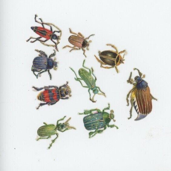 1880's-90's Victorian Die Cut Bugs Insects Lot Of 21 F81E | Ephemera ...
