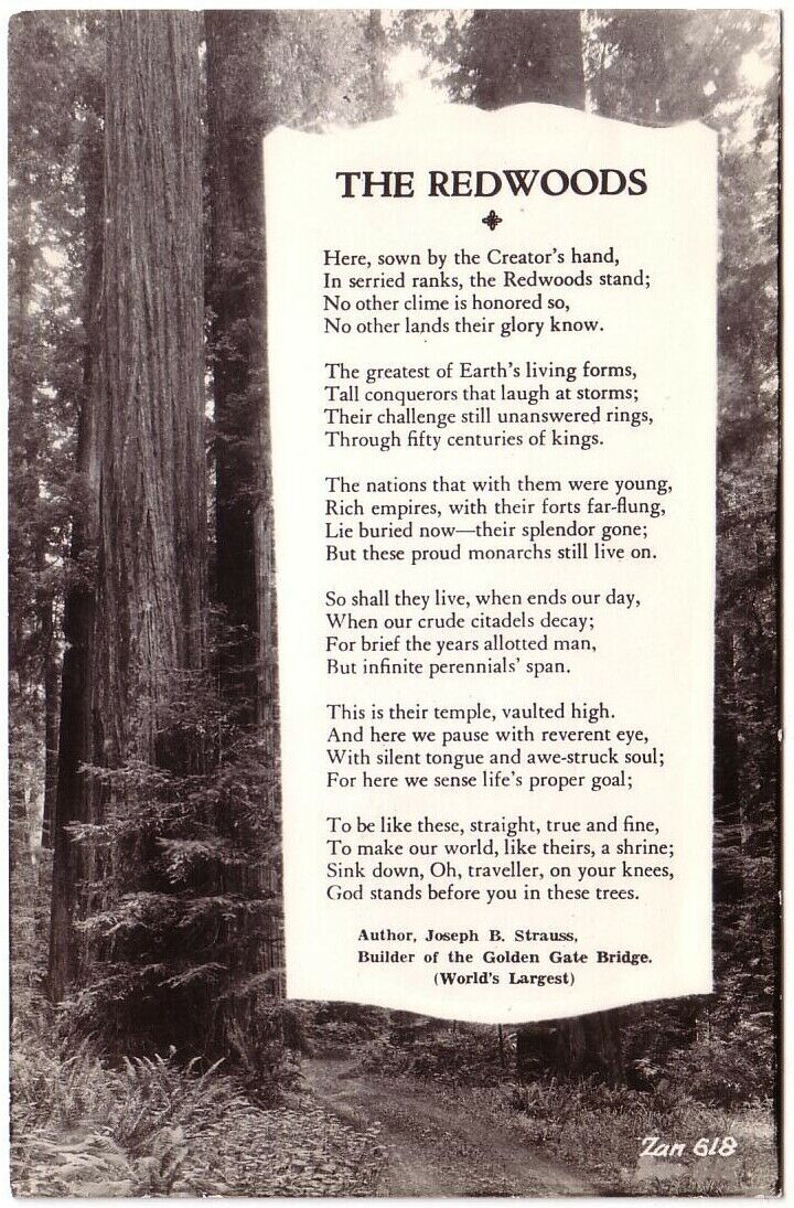 The Redwoods, Poem By Joseph B. Strauss, Vintage Real Photo Postcard ...