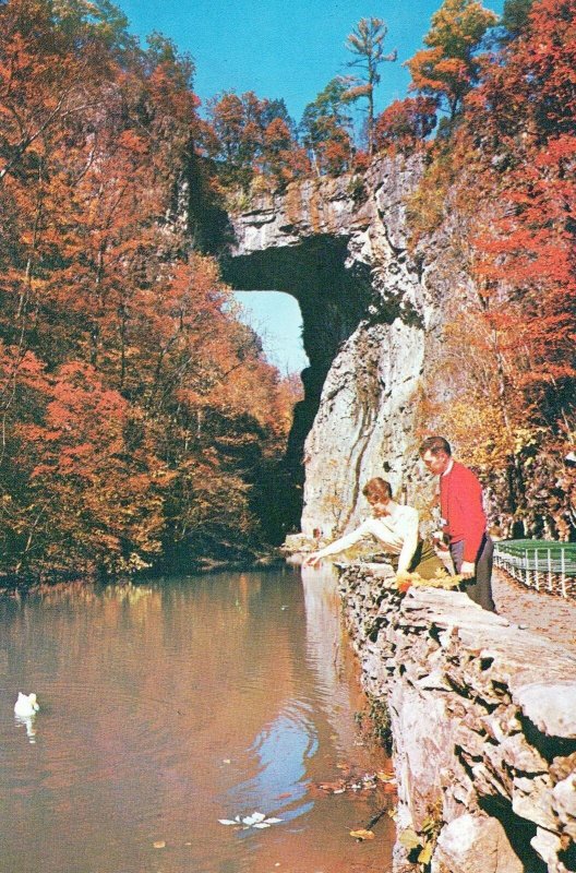 Vintage Postcard Continental Size Natural Bridge at Seven Wonders of ...