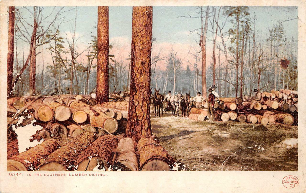 Southern Lumber District Logging Memphis Tennessee Postcard 1907 ...