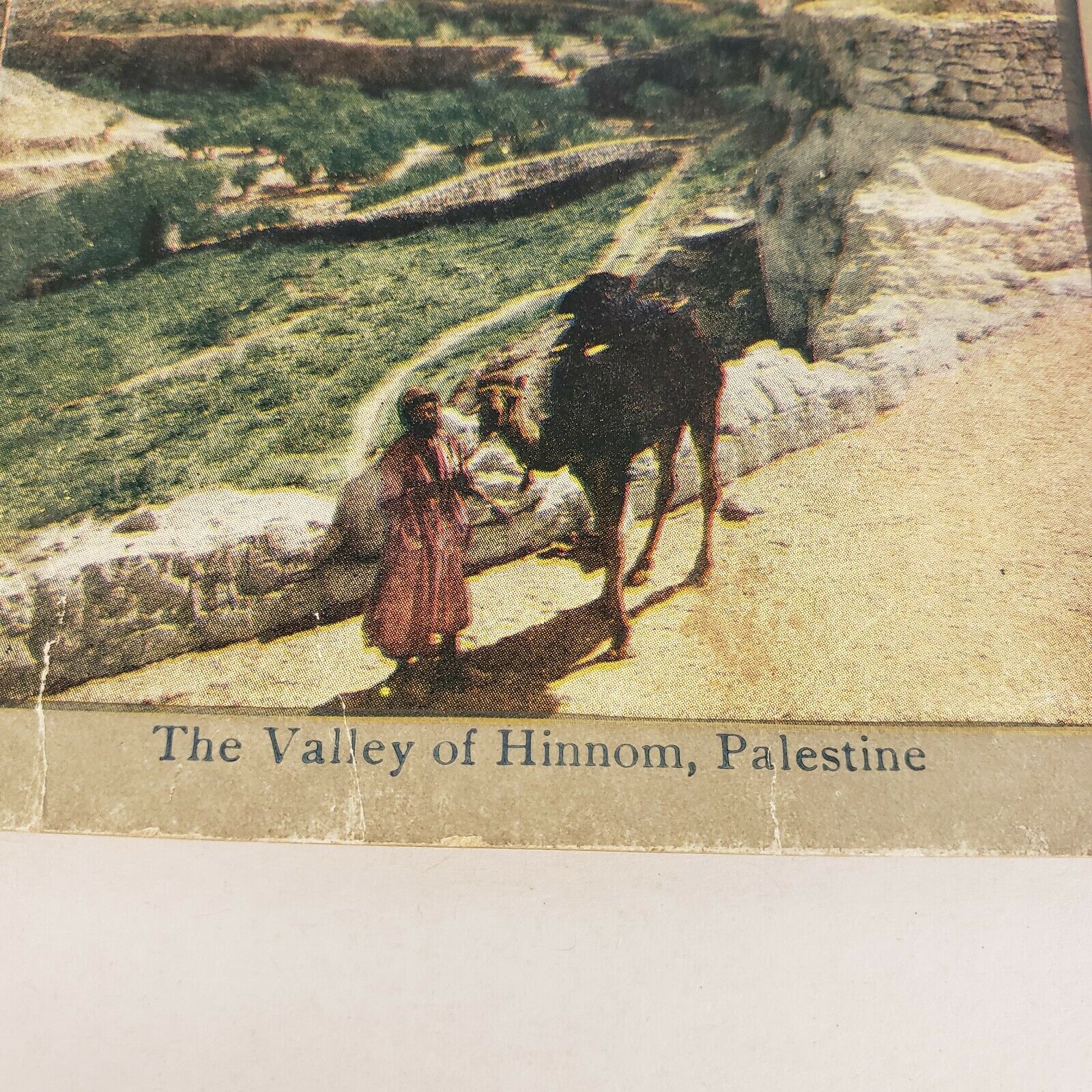 Gehenna Gehinnom Valley Of Jerusalén Man Camello Palestina Litho ...