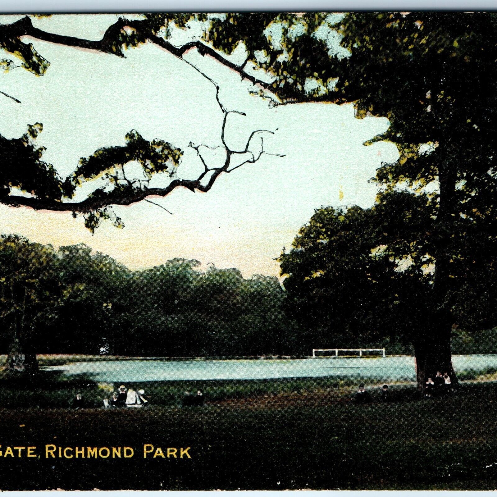 c1910s Richmond Royal Park, London Sheen Gate Postcard Picnic People ...