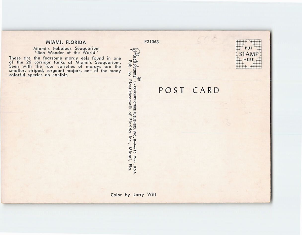 Postcard Moray eels, Miami's Fabulous Seaquarium, Miami , Florida ...