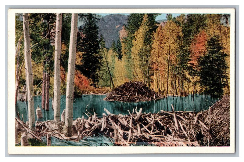 Postcard CO Beaver House And Dam Estes Park Colo. Colorado | United ...