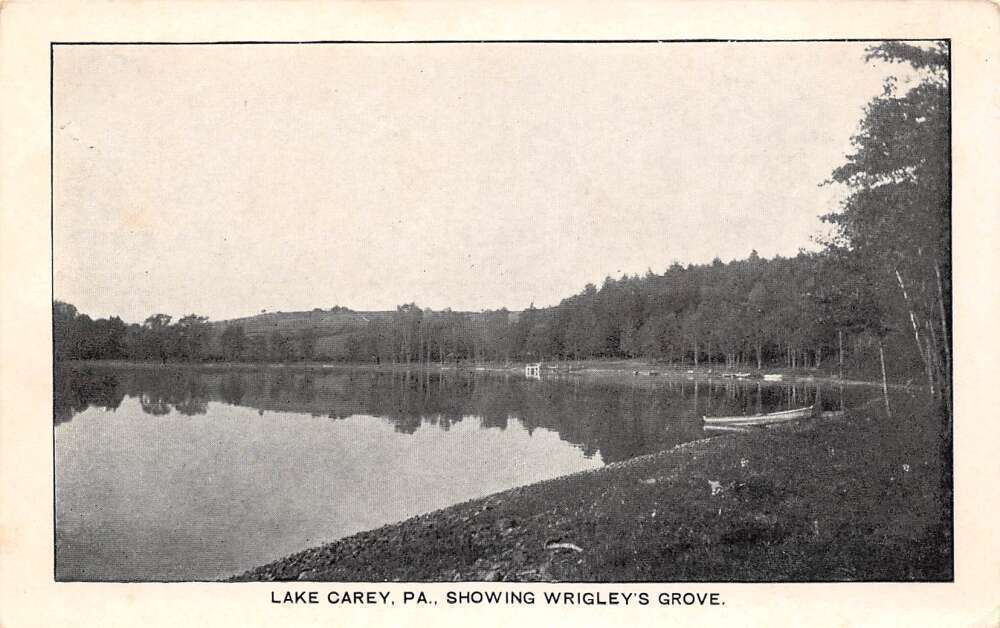Lake Carey Pennsylvania Showing Wrigley's Grove B/W Lithograph Vintage ...