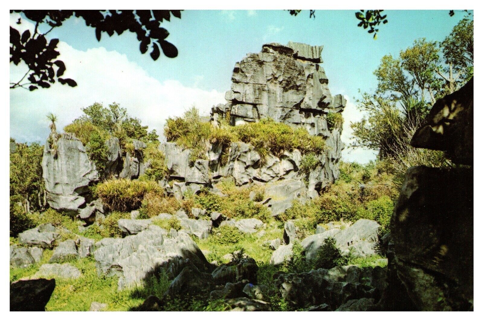 Waro Limestone Reserve Northland Towers Curiously Shaped Rocks Chrome ...