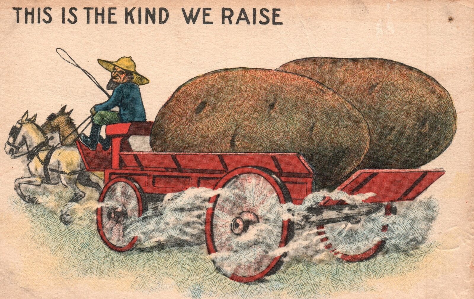 Vintage Postcard 1910's Two Big Potatoes This is The Kind We Raise ...
