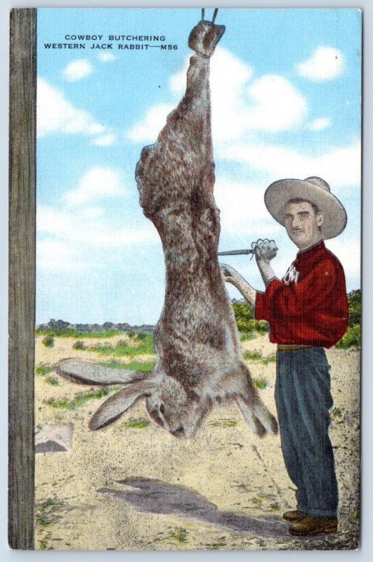 Giant Jack Rabbits