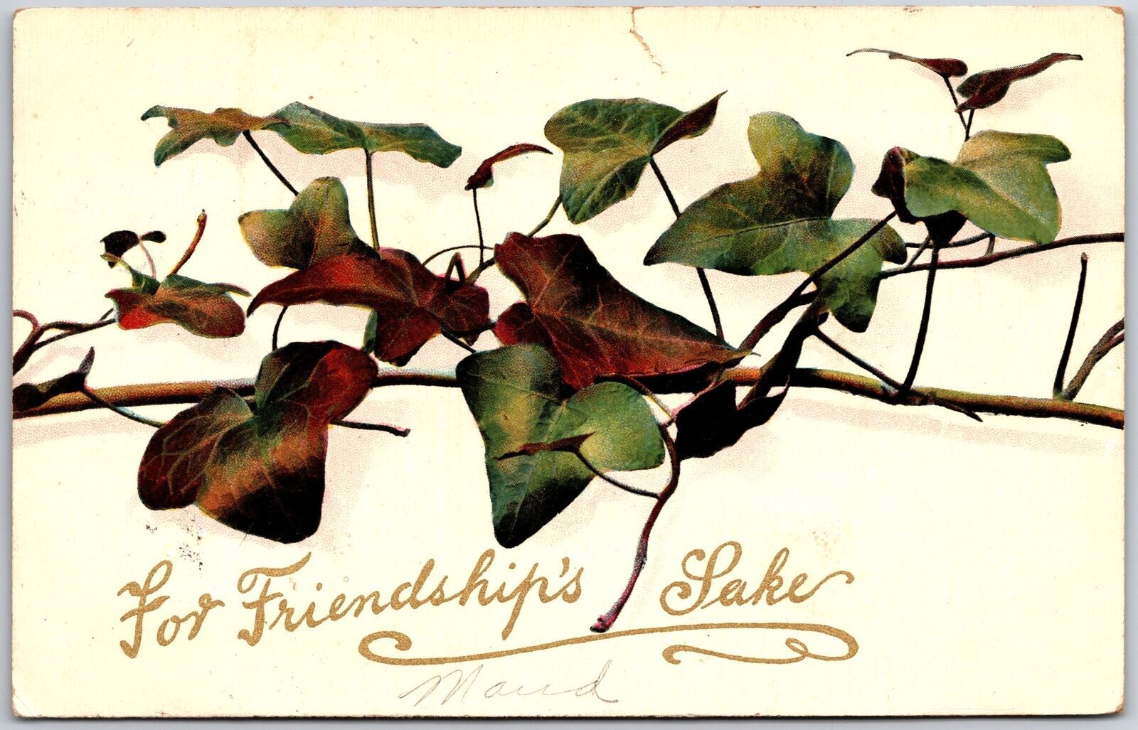 1909 Vine Ivy Leaves Friendship Greetings Wishes Card Posted Postcard ...