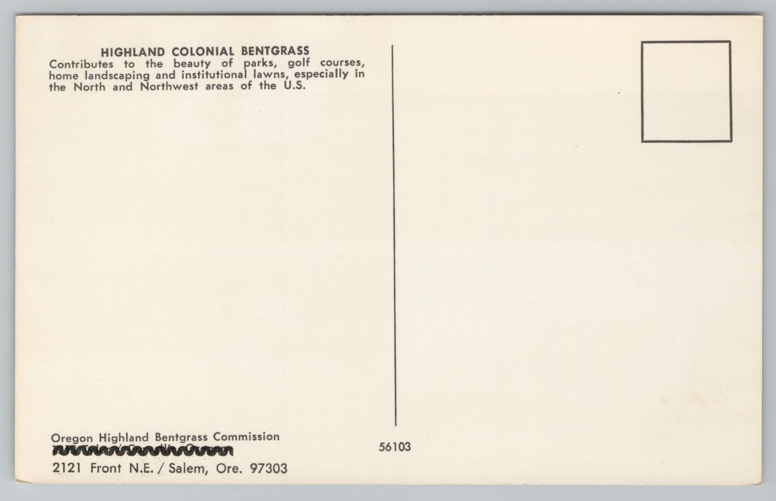 Salem Oregon~Highland Colonial Bentgrass~4 Views Bentgrass Beauty ...