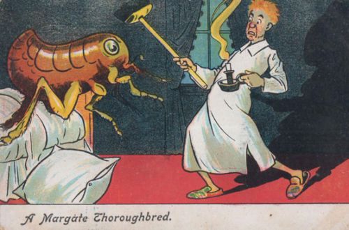Margate Thoroughbred Giant Horror Insect Monster Antique WW1 Kent Comic ...
